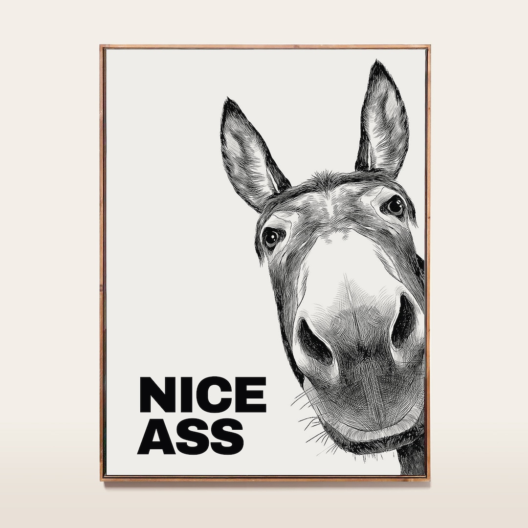 Donkey Nice Ass Bathroom Poster, Bathroom Funny Decor, Restroom Accessories, Funny Toilet Print ...