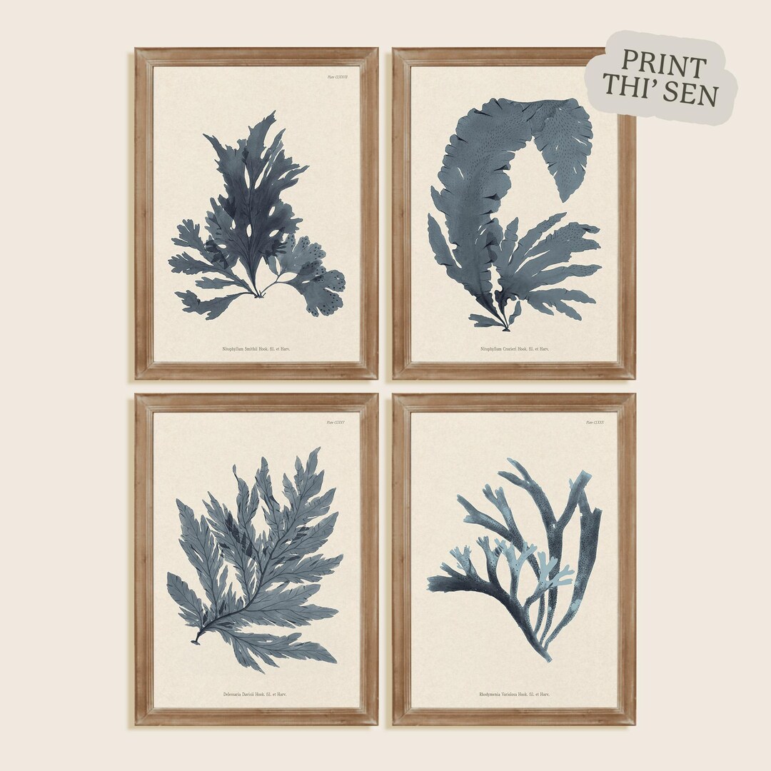 Navy Seaweed Botanical Prints Vintage Coral Algae Wall Art Digital ...