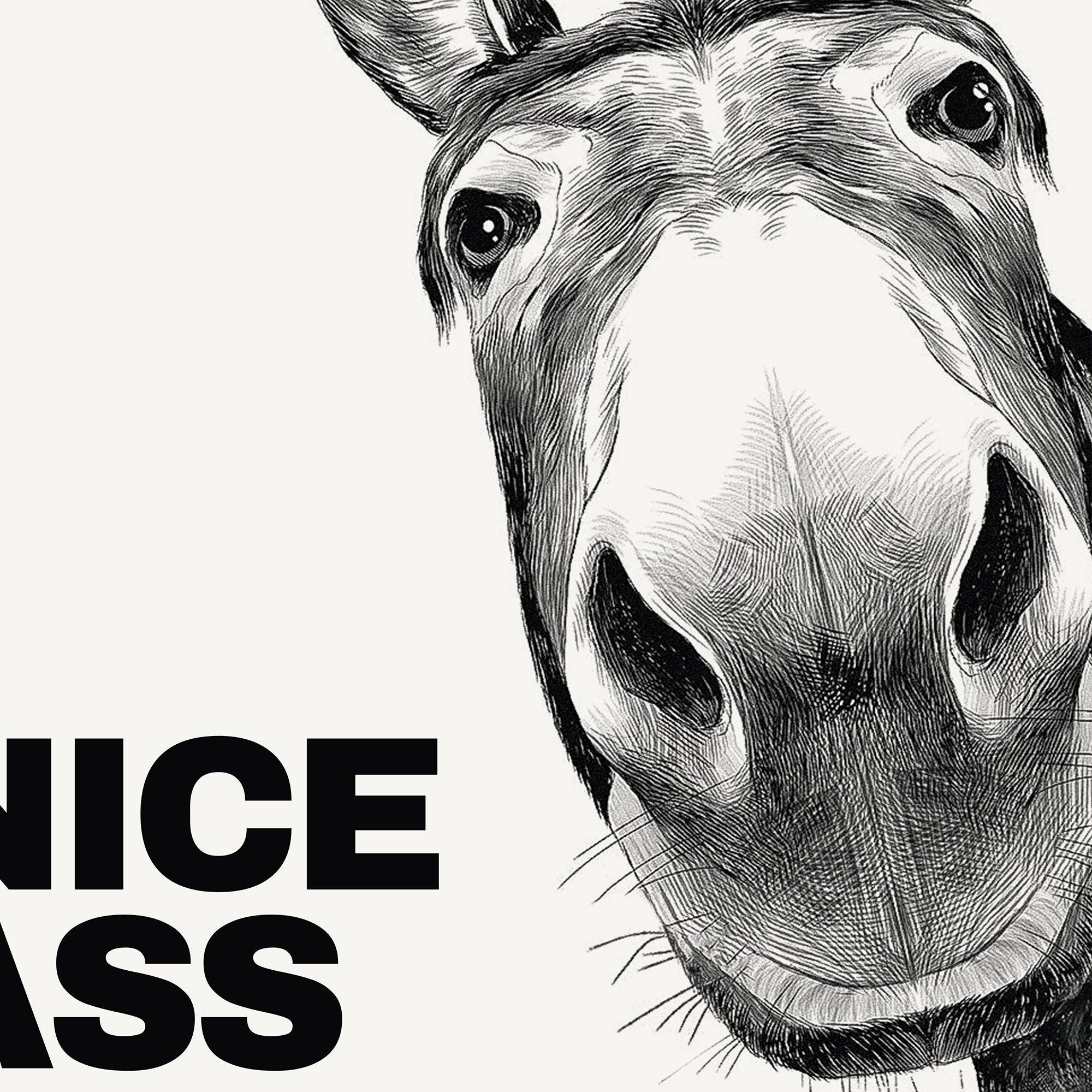 Donkey Nice Ass Bathroom Poster, Bathroom Funny Decor, Restroom ...