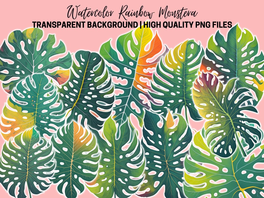 Watercolor Rainbow Monstera Leaves Clipart Monstera Albo Leaf Print ...