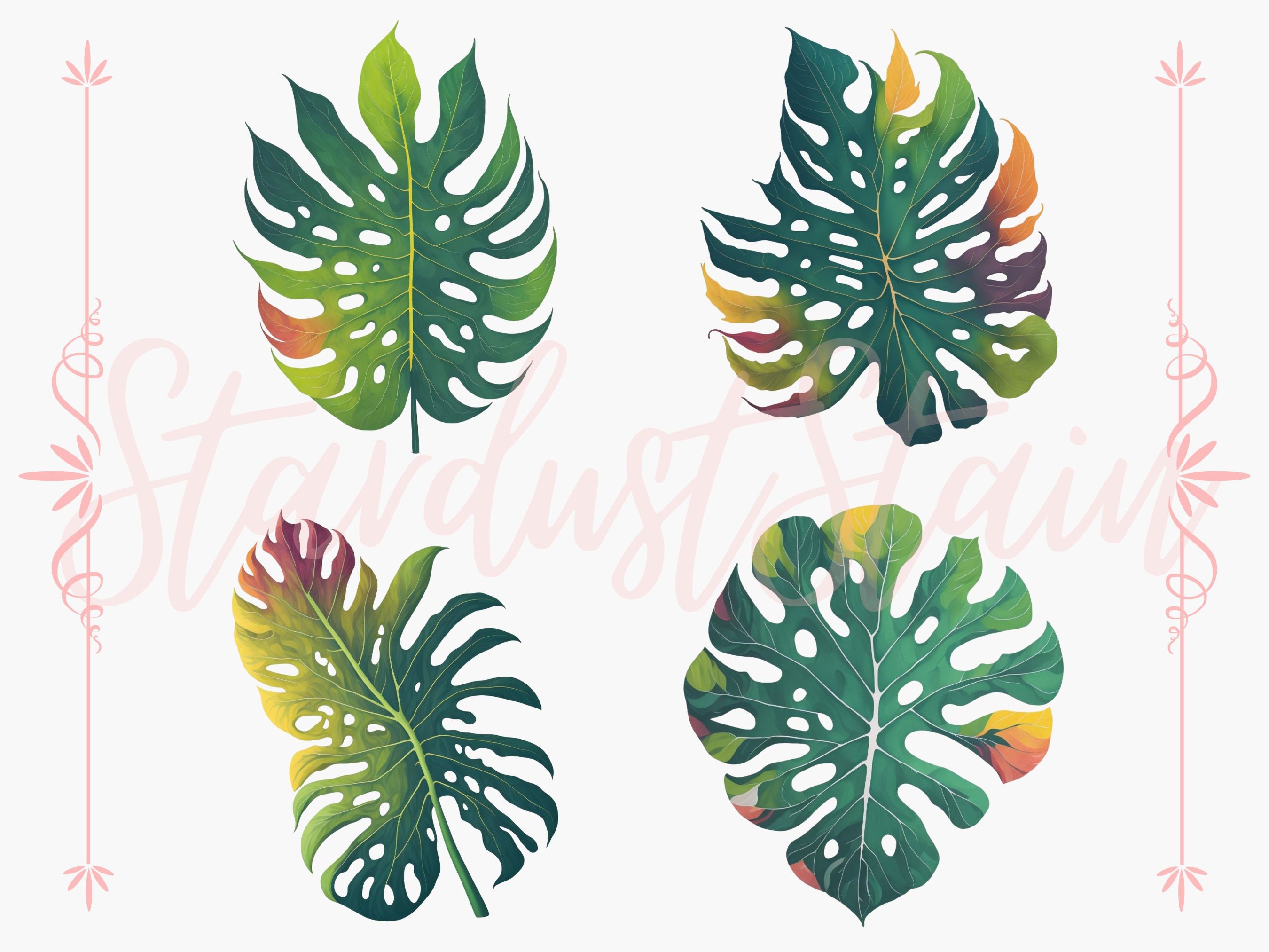 Watercolor Rainbow Monstera Leaves Clipart Monstera Albo Leaf Print ...