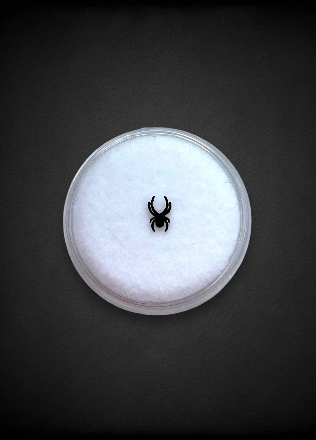 Black Spider Tooth Gem - Etsy