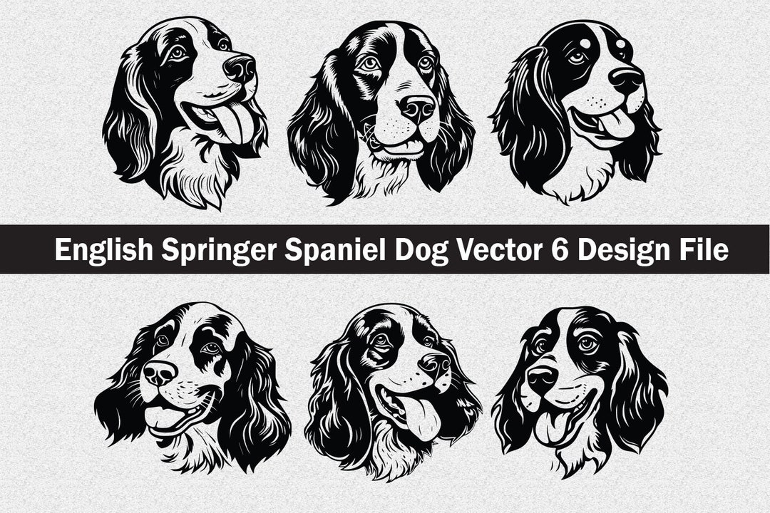 English Springer Spaniel Dog Head Silhouette Svg ,english Springer Dog ...