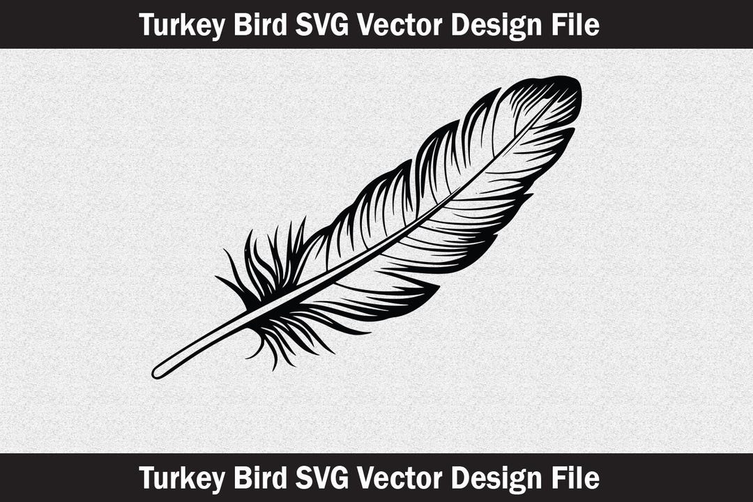 Turkey Feather SVG, PNG Clipart - Thanksgiving Vector Design (digital ...