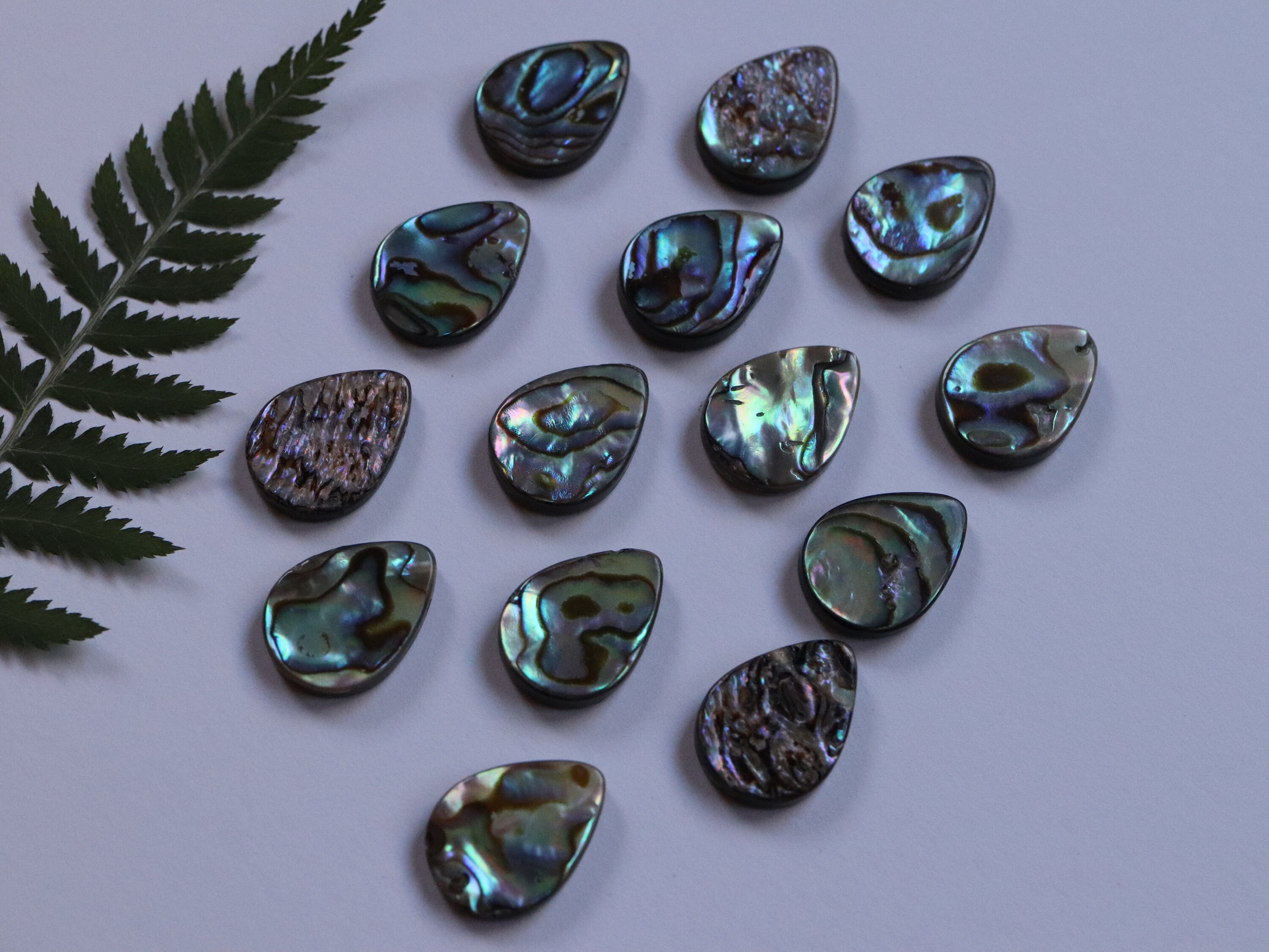 Abalone Beads Natural Shell Drilled Beads Teardrop Pear - Etsy