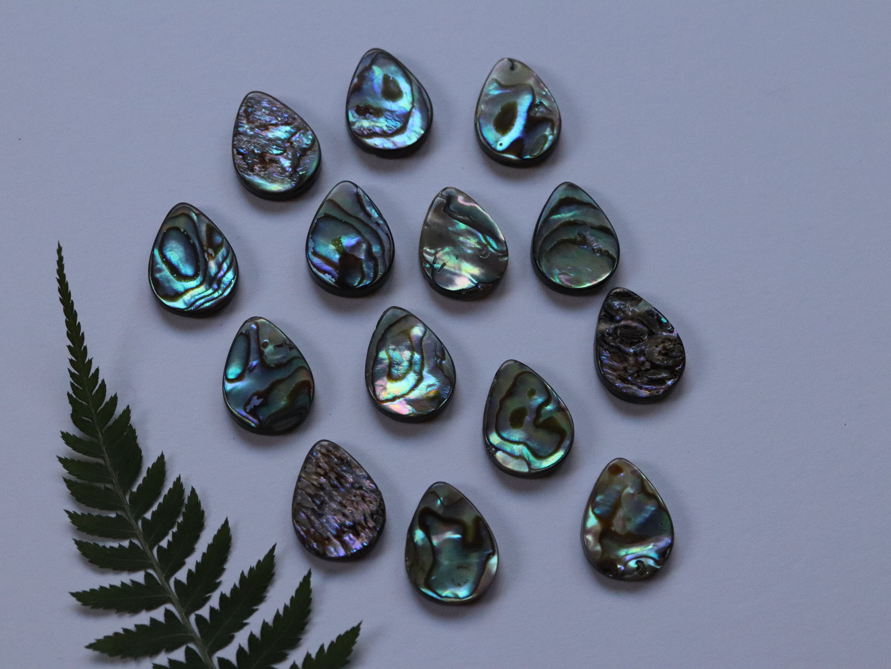 Abalone Beads Natural Shell Drilled Beads Teardrop Pear - Etsy