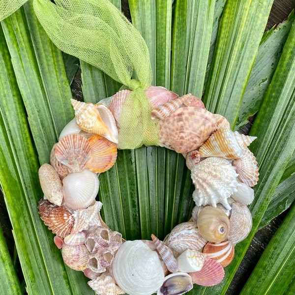 Shell Wreath - Etsy