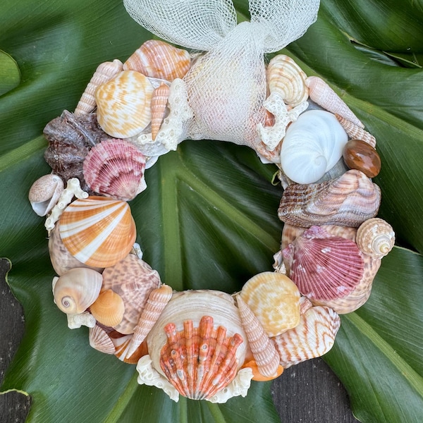Mini Seashell Wreath - Etsy