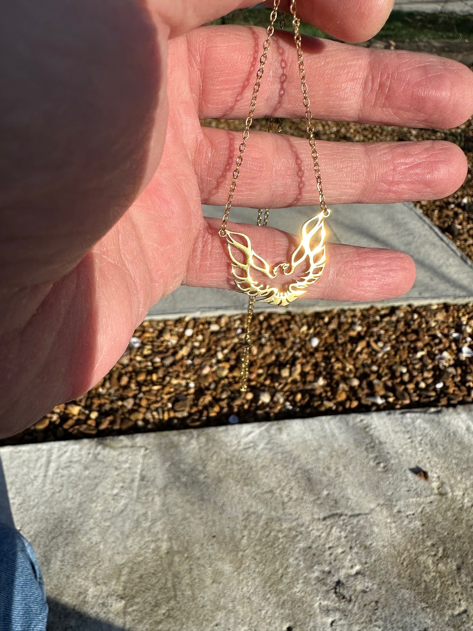 Trans Am Necklace screamin Chicken Free Shipping by - Etsy