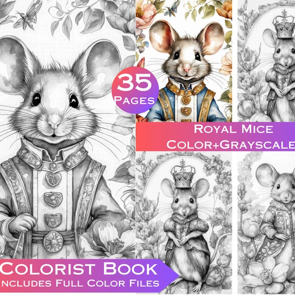 Mouse and Book - Etsy