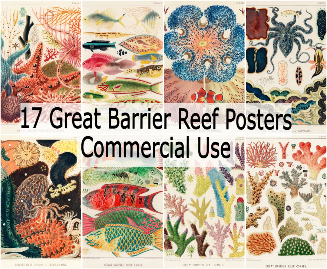 Complete Set 17 Great Barrier Reef Posters From the Great Barrier Reef ...