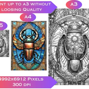 31 Sacred Scarabs Grayscale Coloring Book for Adult Relaxation ...