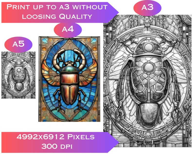 31 Sacred Scarabs Grayscale Coloring Book for Adult - Etsy