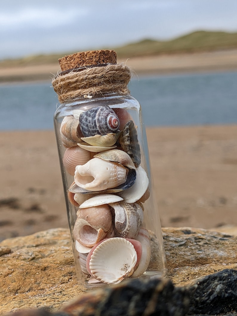 Bottled Shell Charm | Beachcraft | Genuine Shells | Irish Beach | Glass Jar | Momento | Gift - Etsy
