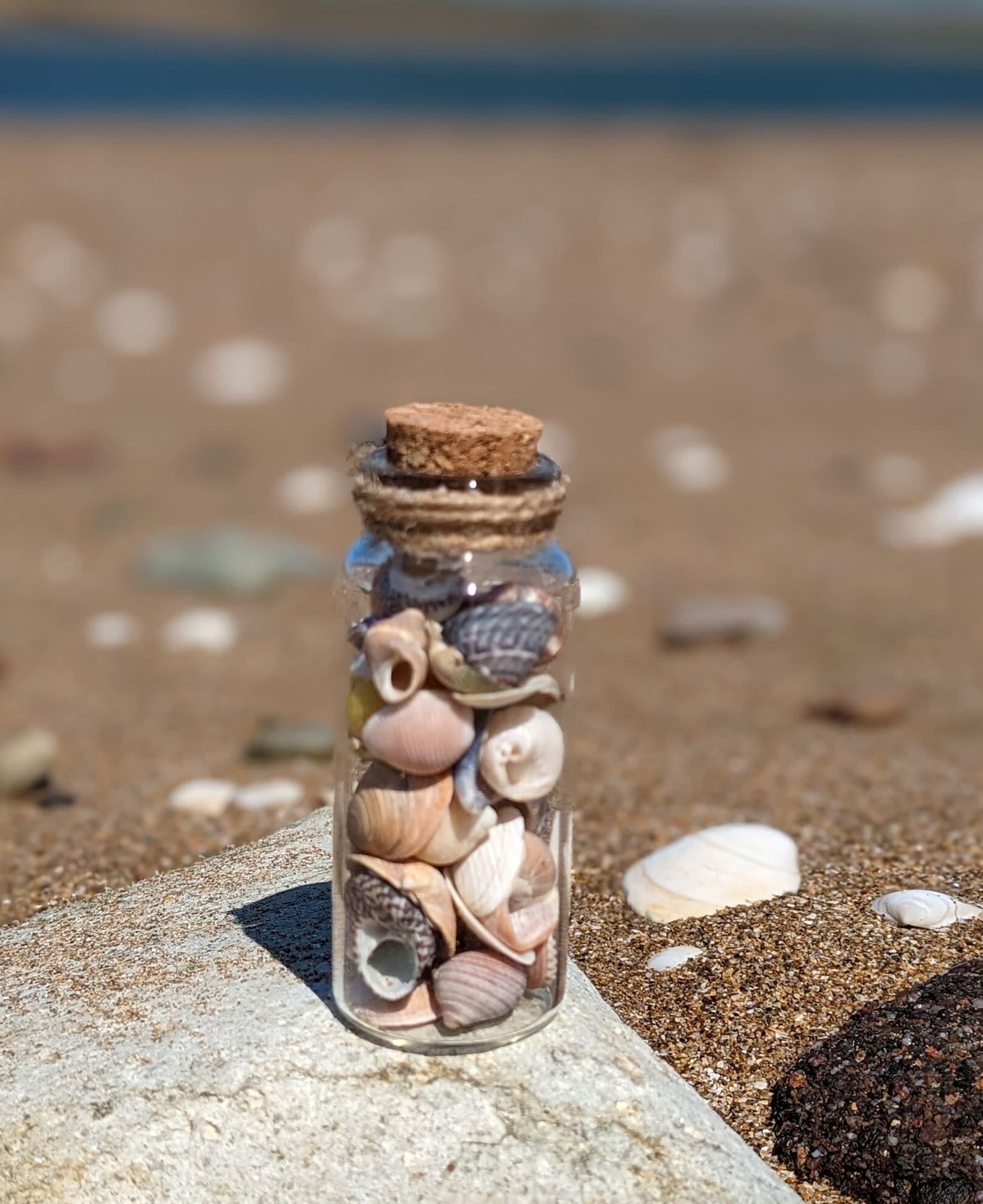 Bottled Shell Charm | Beachcraft | Genuine Shells | Irish Beach | Glass Jar | Momento | Gift - Etsy