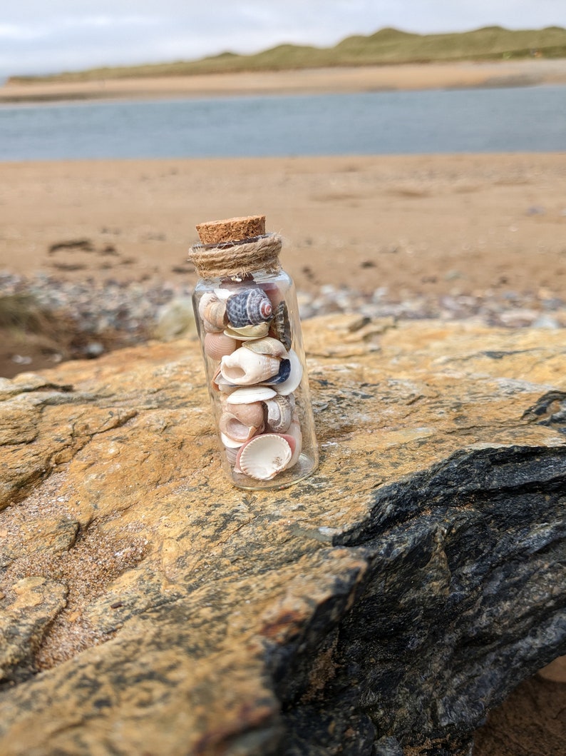 Bottled Shell Charm | Beachcraft | Genuine Shells | Irish Beach | Glass Jar | Momento | Gift - Etsy