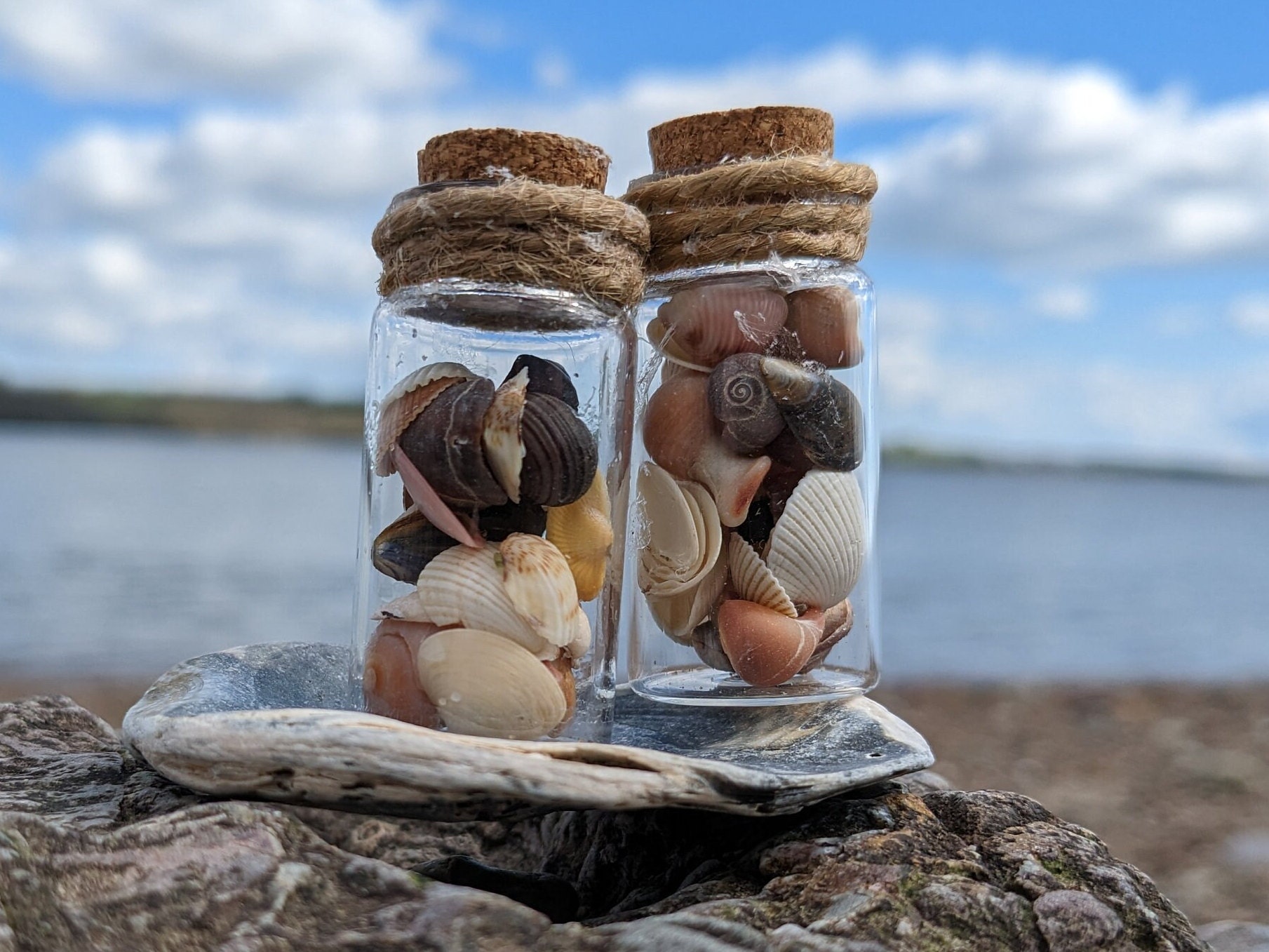 Bottled Shell Charm Beachcraft Genuine Shells Irish Beach Cute Glass ...