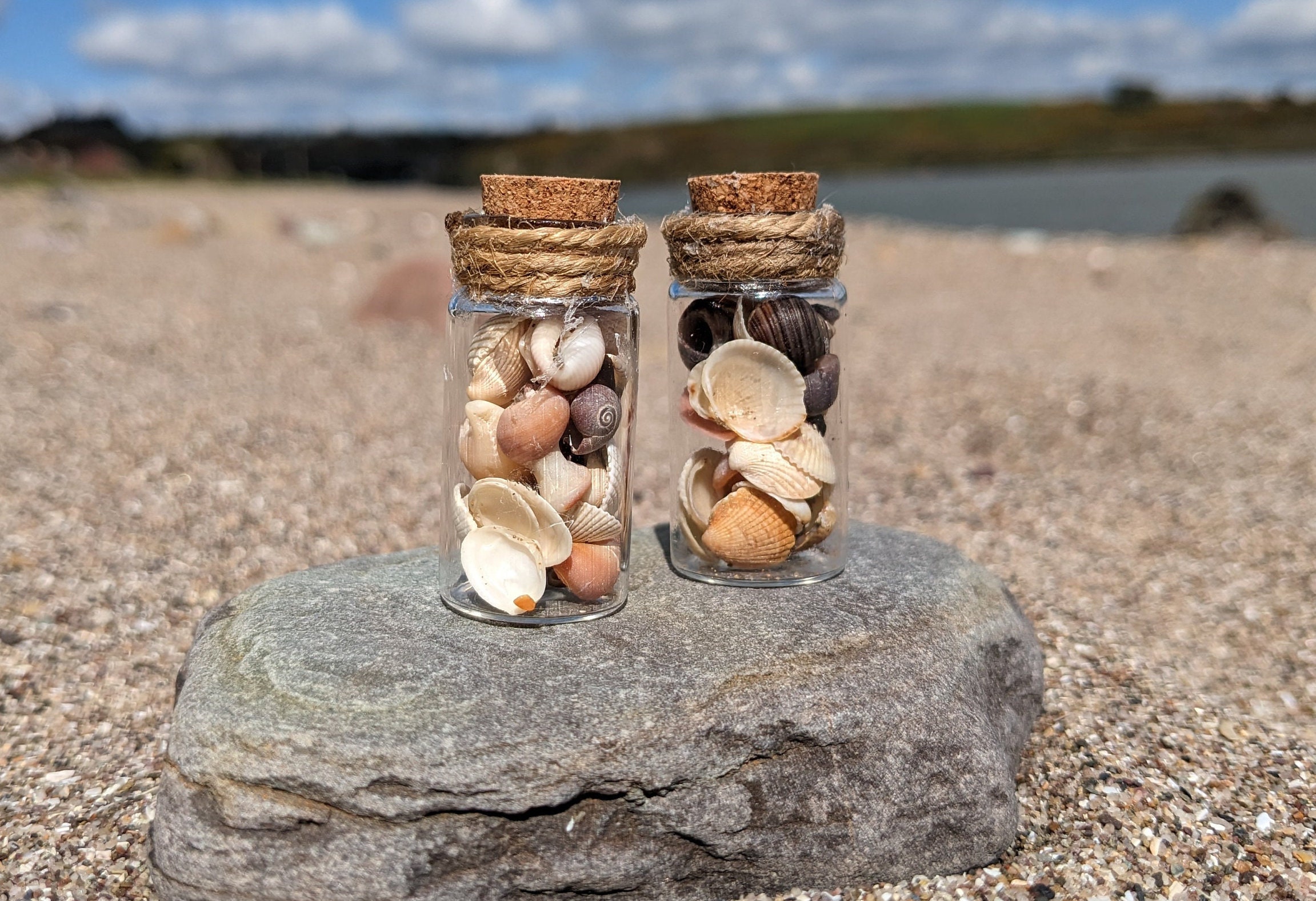 Bottled Shell Charm Beachcraft Genuine Shells Irish Beach Cute Glass Jar Momento Gift - Etsy