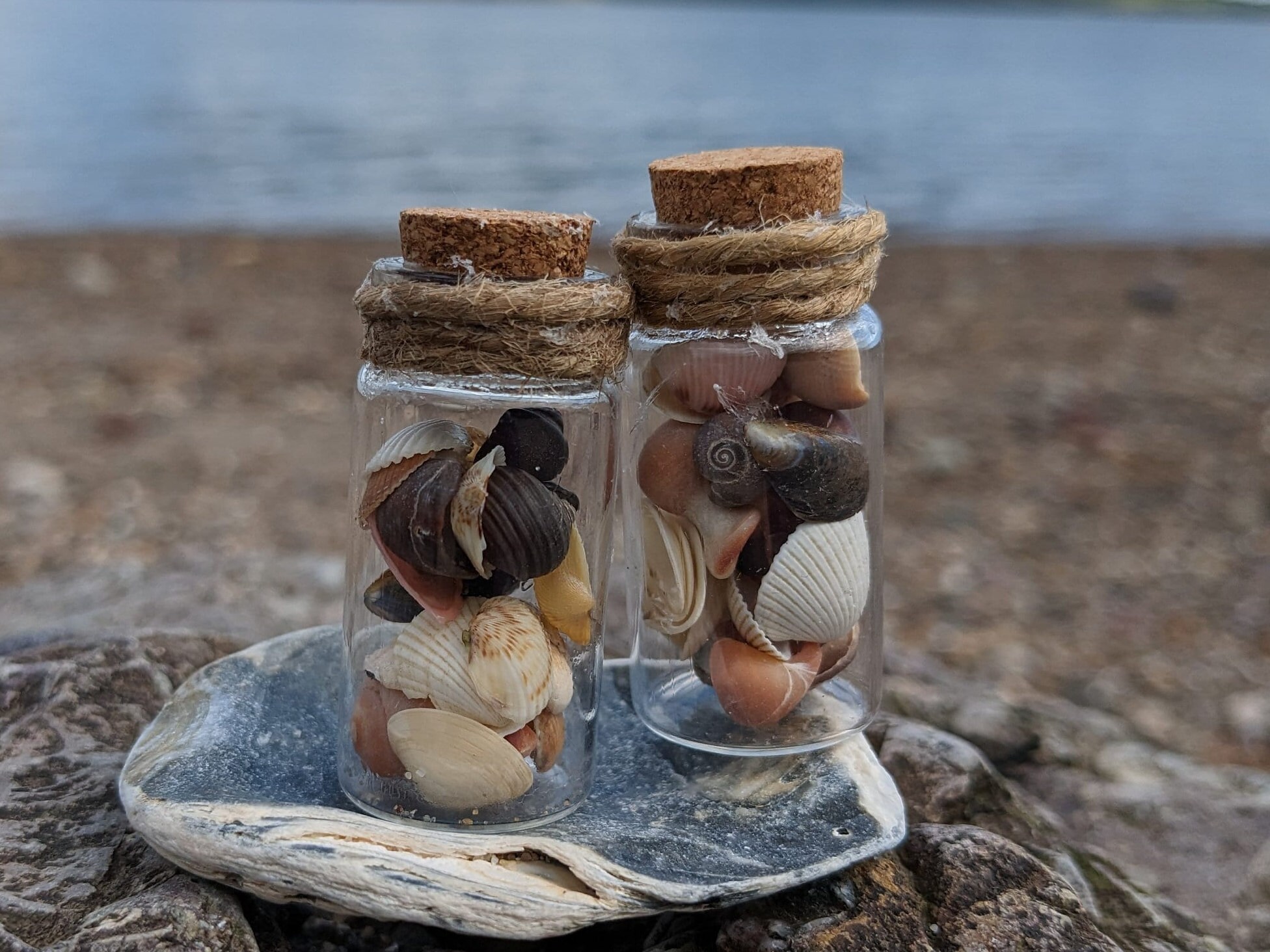 Bottled Shell Charm Beachcraft Genuine Shells Irish Beach Cute Glass Jar Momento Gift - Etsy
