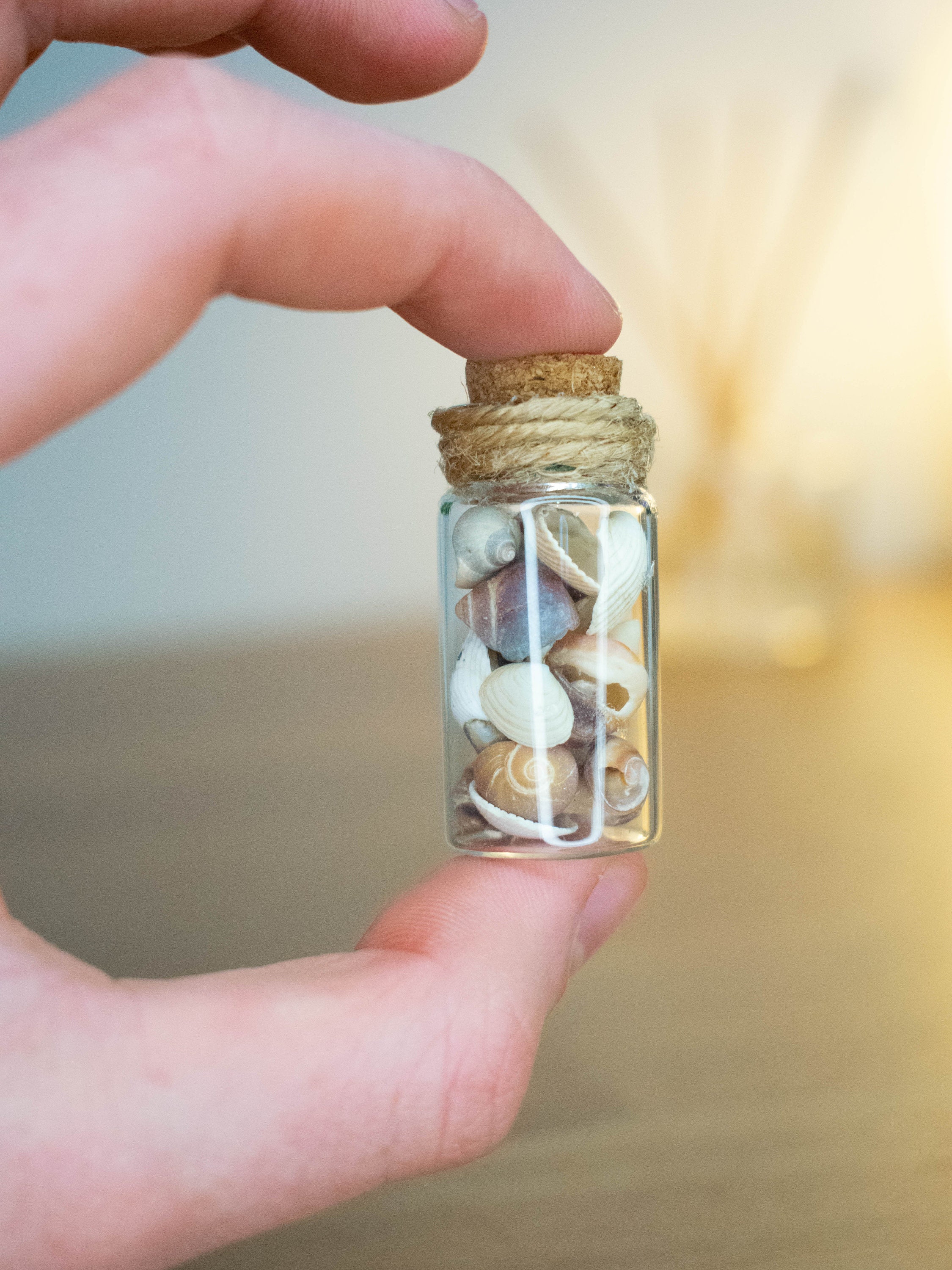 Bottled Shell Charm Beachcraft Genuine Shells Irish Beach Cute Glass Jar Momento Gift - Etsy