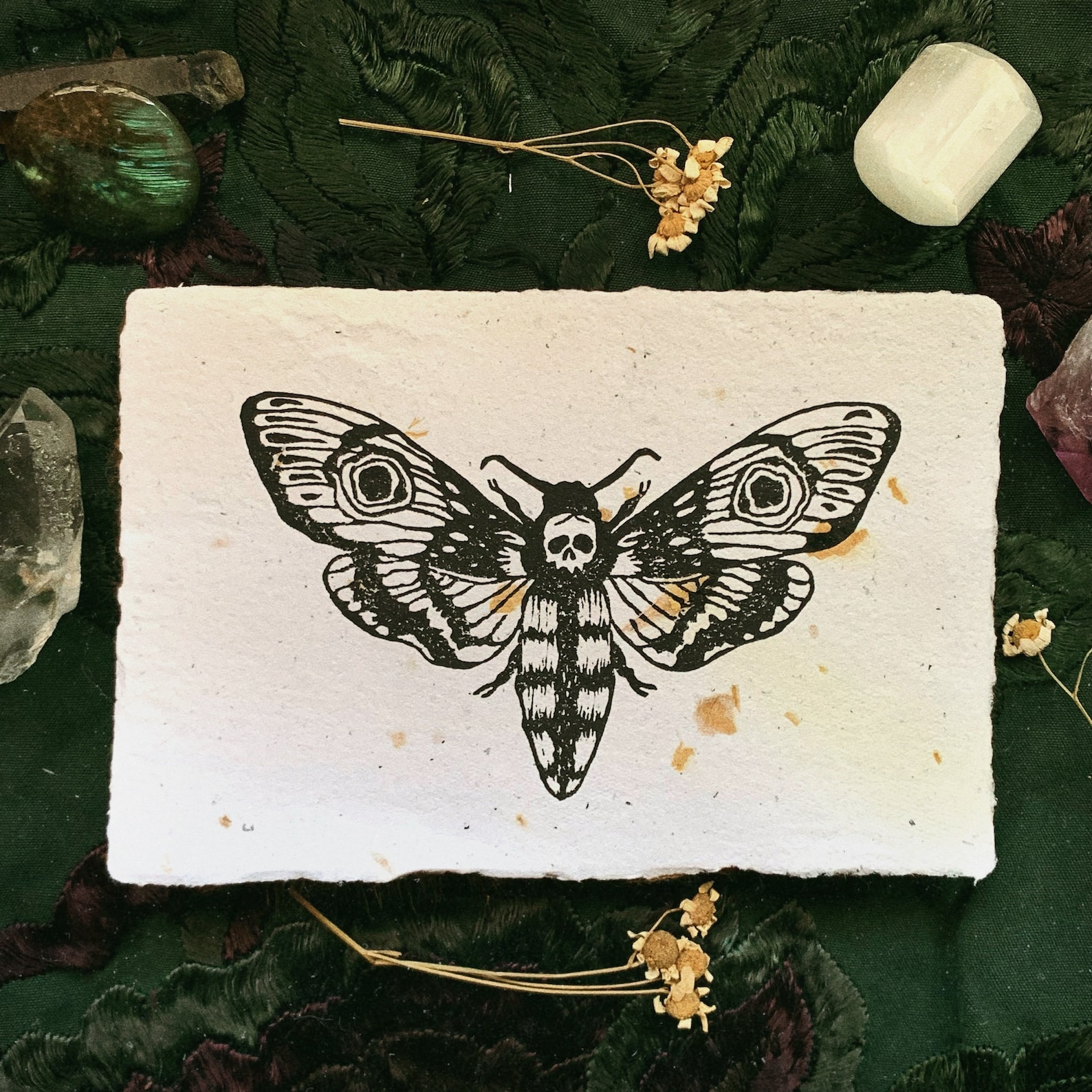 Death's-head Hawkmoth Handmade Print Moth Linocut Print Dali Skull ...