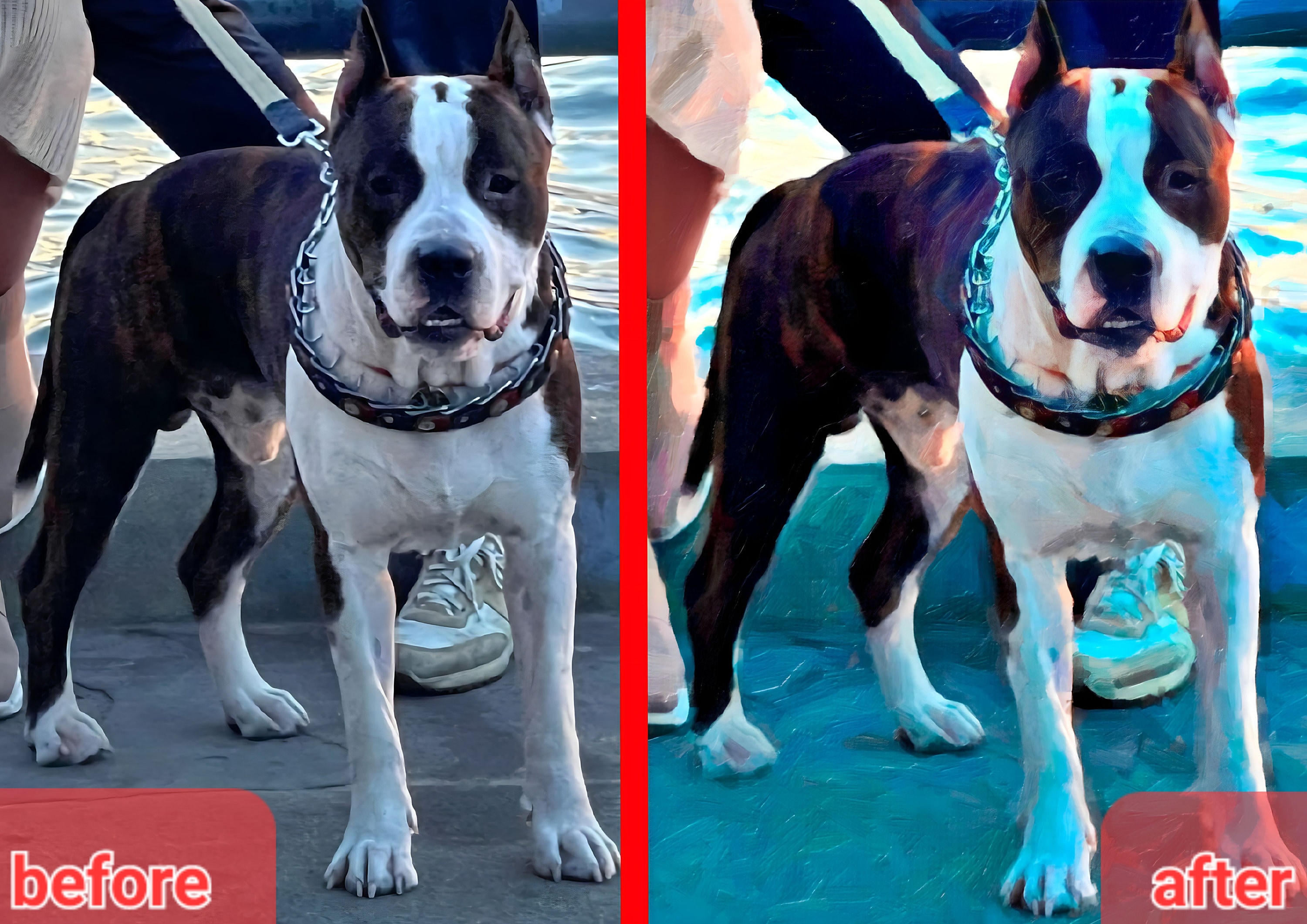 Digital Portrait by Photo, Photo Editing, Oil Painting, Screensaver by ...