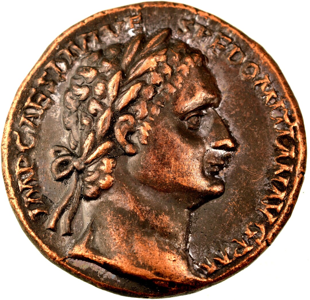 Roman Æ Sestertius of Domitianvs, Titvs Flavivs Bronze Coin - Etsy