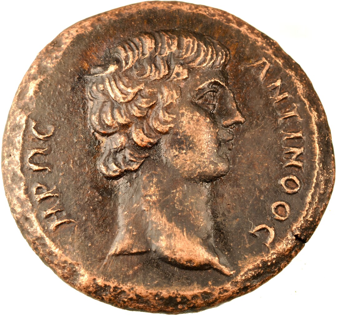 Roman Æ Medallion of Antinous Bronze Coin - Etsy