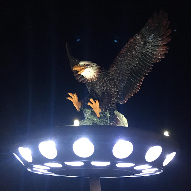 Flying Bald Eagle and Solar Flagpole Light Kit - Etsy