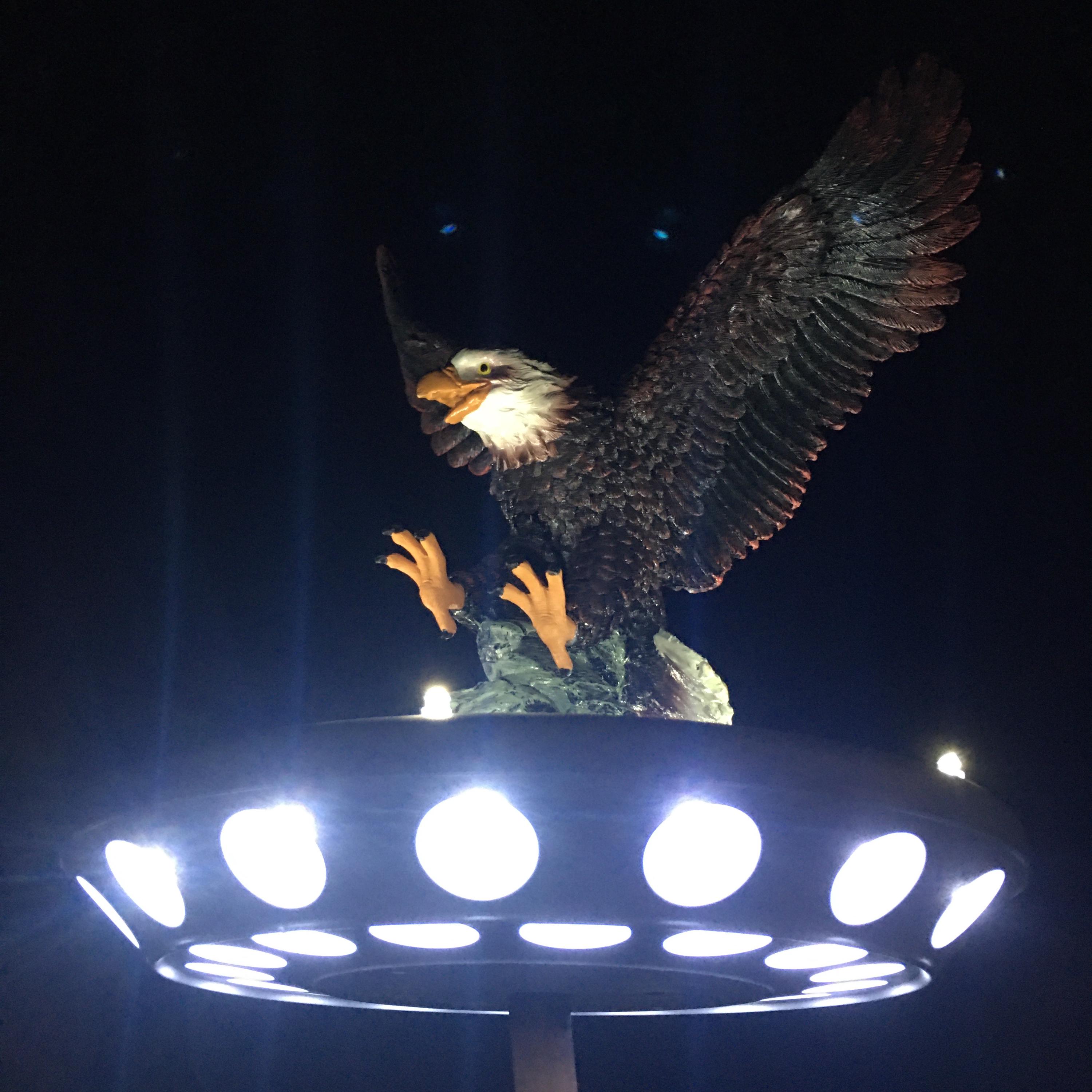 Flying Bald Eagle and Solar Flagpole Light Kit - Etsy