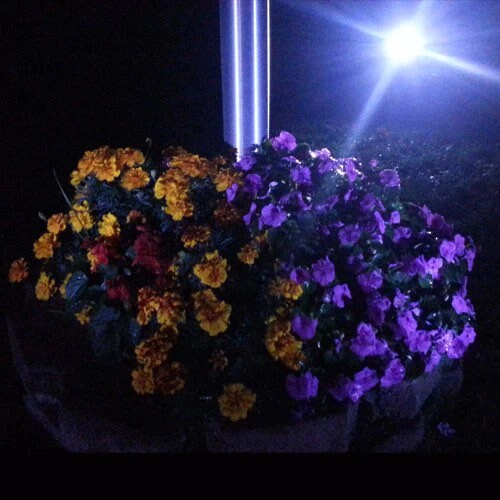 LED Landscape Solar Light Kit - Etsy