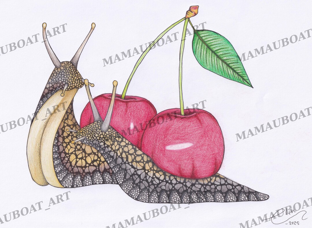 Cherry Snails, Hand Drawn Drawing Digital Print Download, Snail Artwork ...