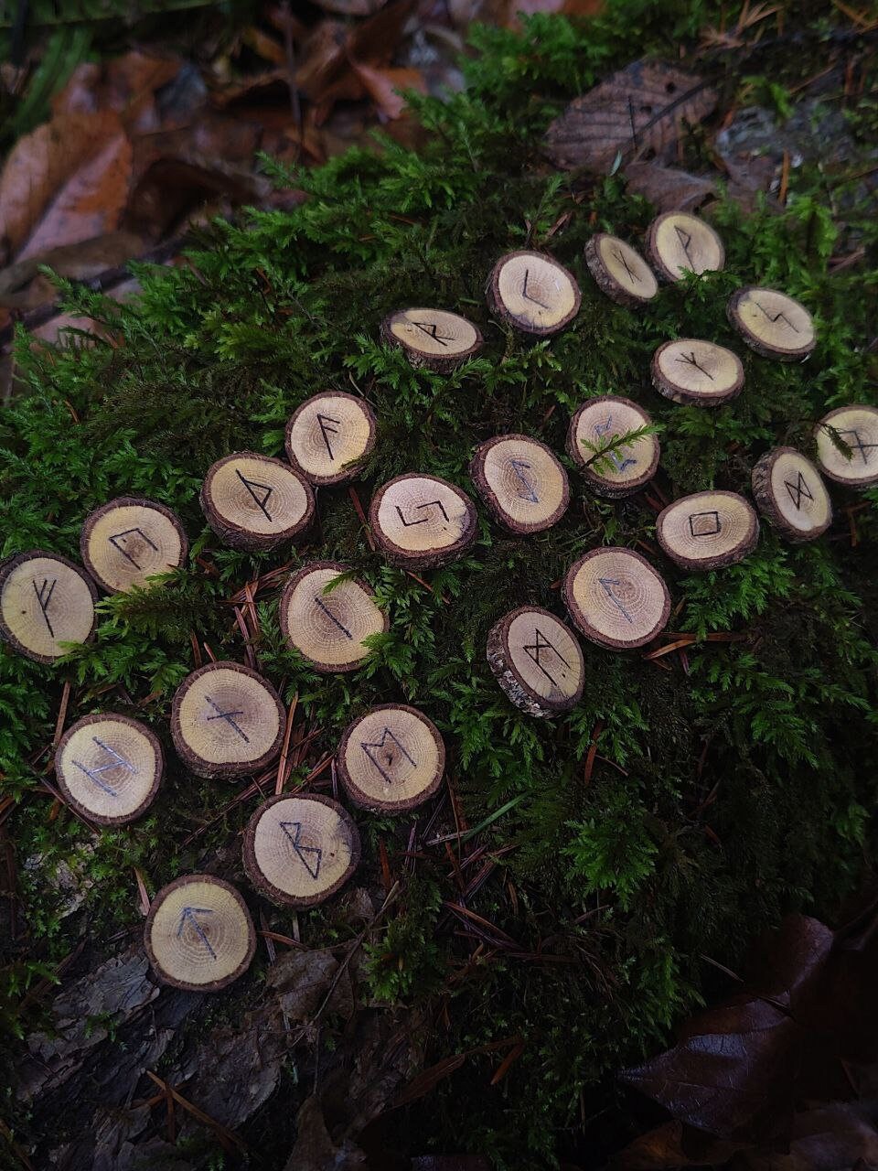 Oak Elder Futhark Runes Spalted Oak Handmade Runes - Etsy