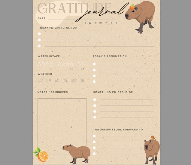 Capybara Planner monthly, Weekly, Monthly Budget, Gratitude Journal - Etsy