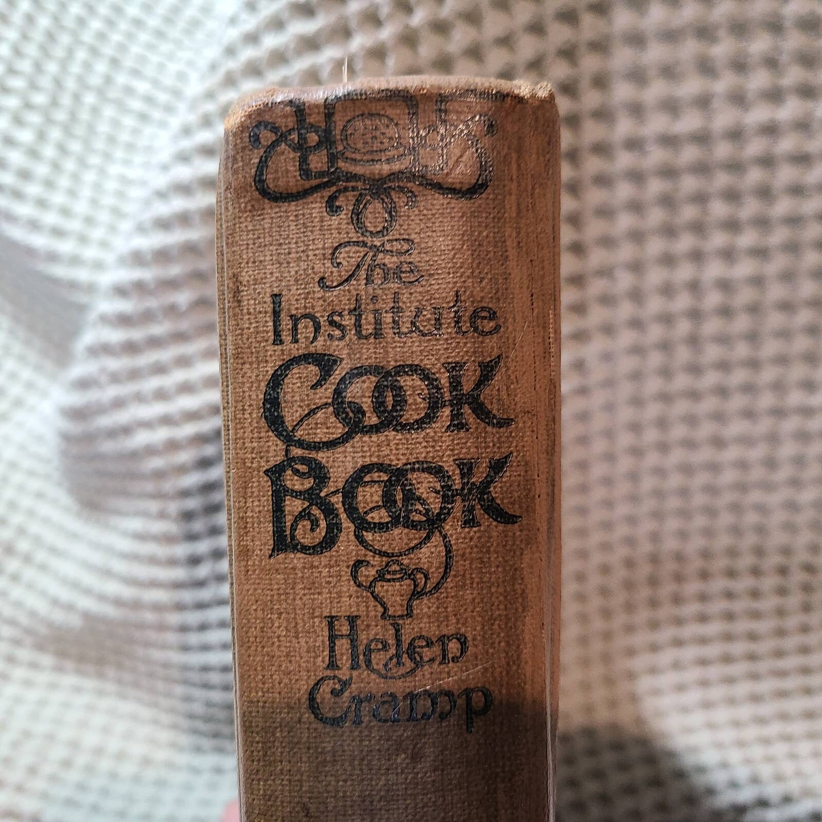 The Institute Cook Book 1913/vintage Cooking Techniques and Meal ...