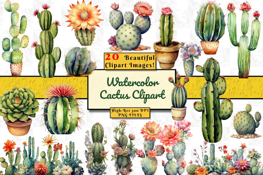 Watercolor Cactus Clipart | Digital Download | Succulent Clip Art ...