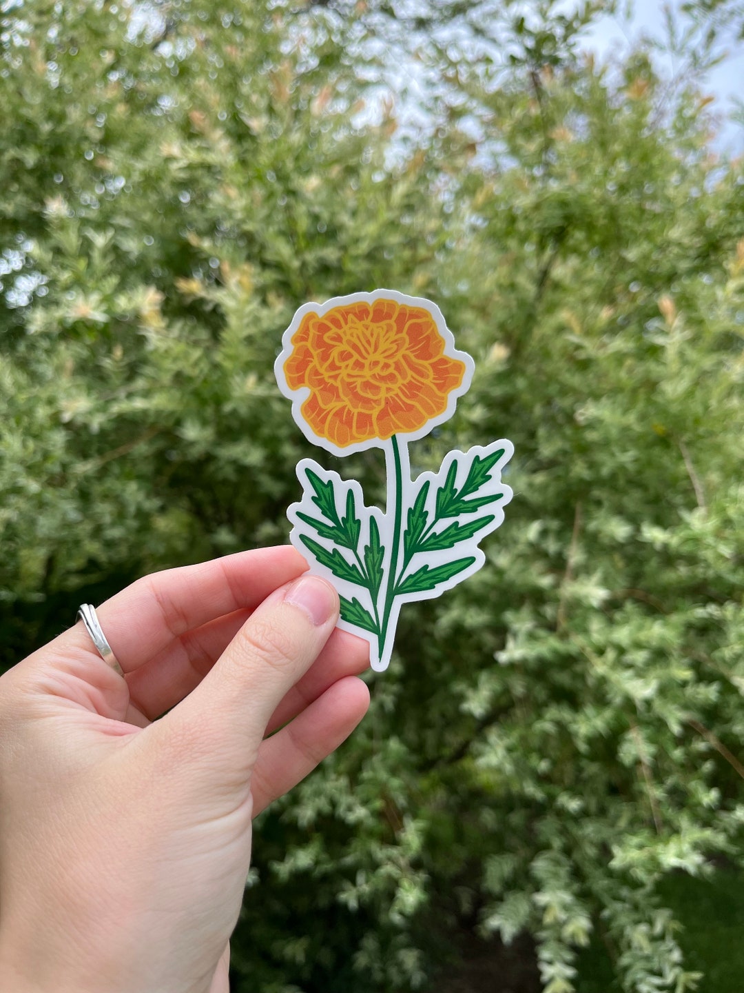 Marigold Flower Sticker - Etsy
