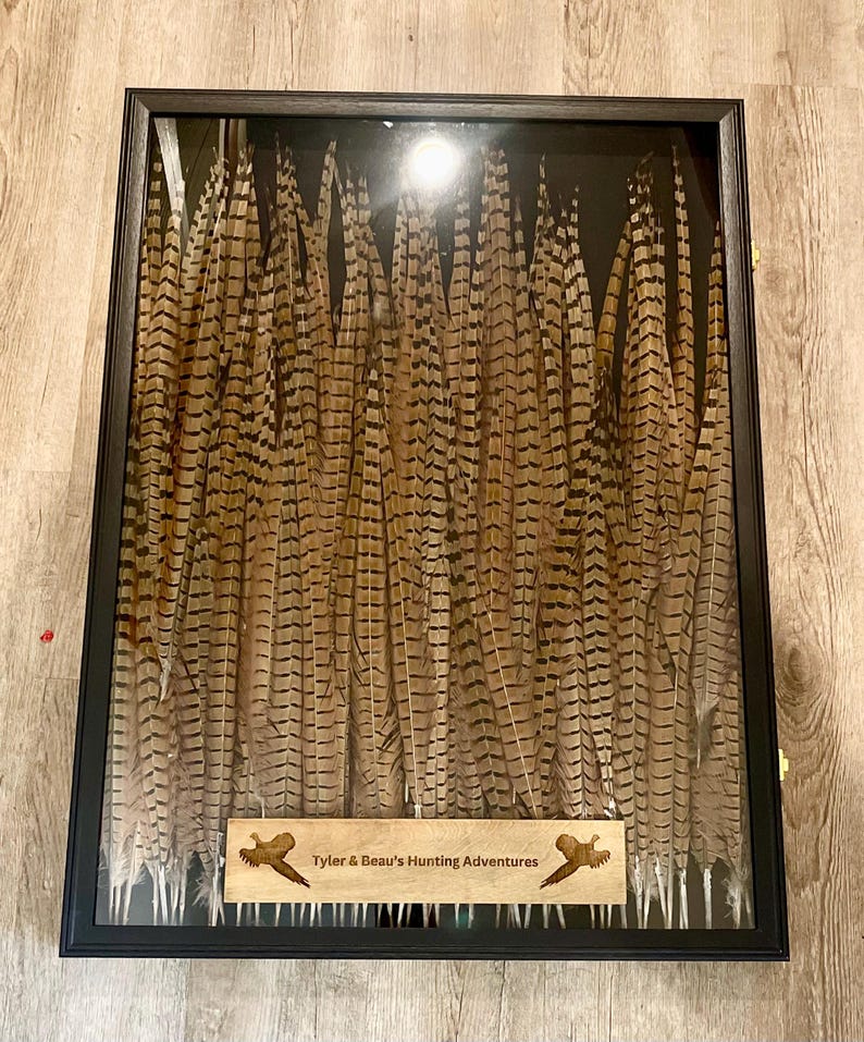Hunting Keepsake, Shadow Box, Gift for Him, Pheasant Hunting, Bird Dog ...