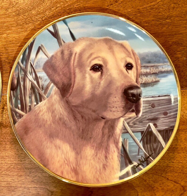 Set of 8 Labrador Dog Franklin Mint Collectors Plates by Royal Daulton ...
