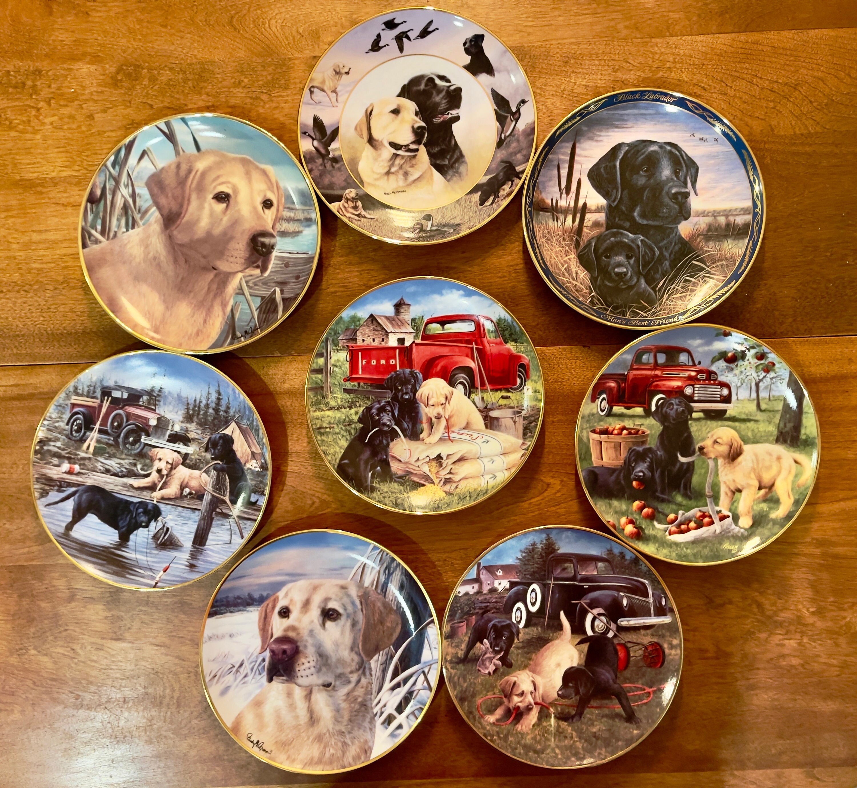 Set of 8 Labrador Dog Franklin Mint Collectors Plates by Royal Daulton ...