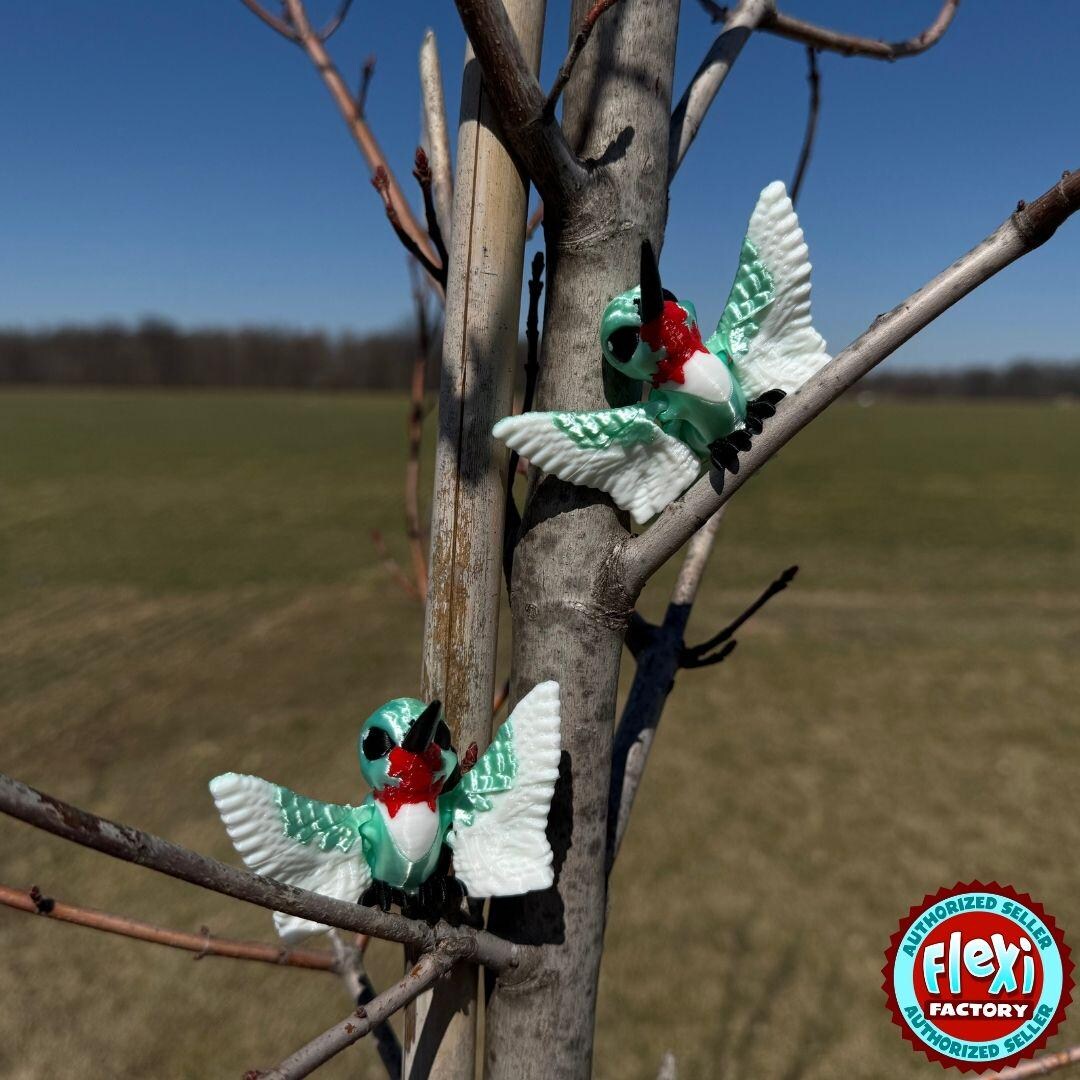 3D Printed Hummingbird – Bring Nature to Life! (2 Pack) - Etsy