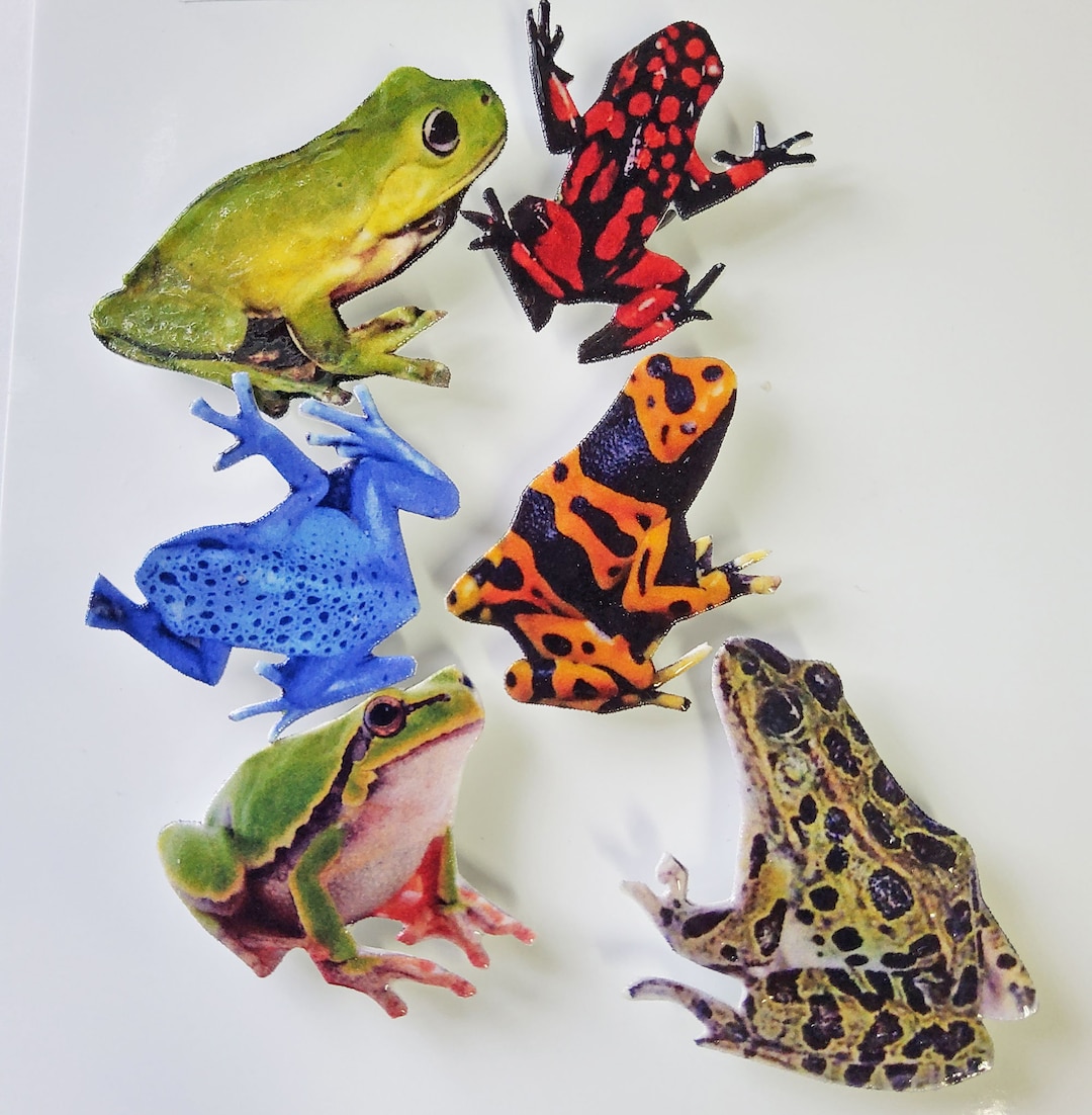 Frogs #2 Magnets - Set of 6 - Etsy