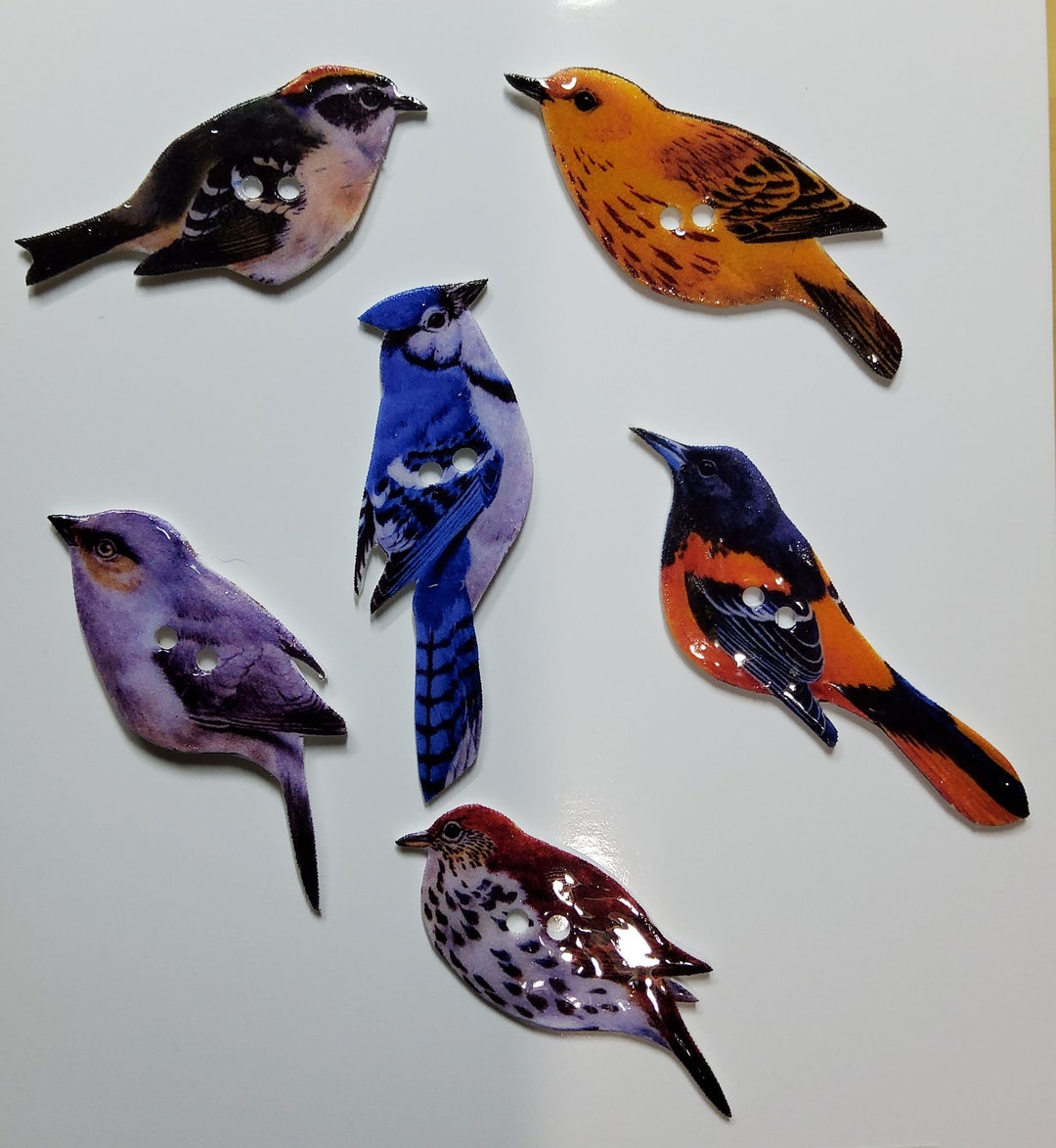 Bird Button #1 - Set of 6 - Etsy