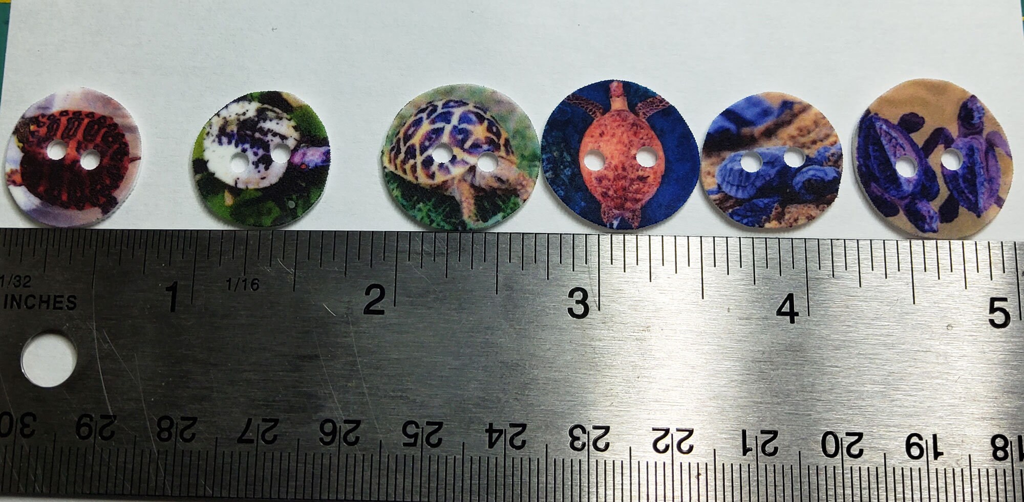 Turtle Buttons 4 Set of 6 5/8 Size - Etsy