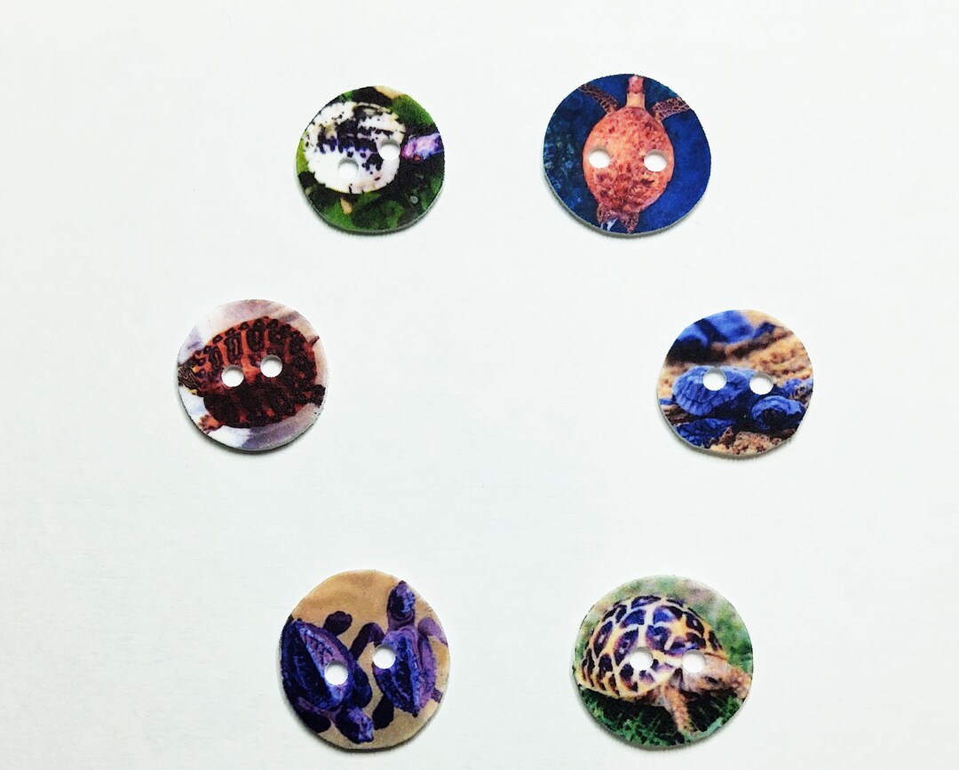 Turtle Buttons #4 - Set of 6 - 5/8" Size - Etsy