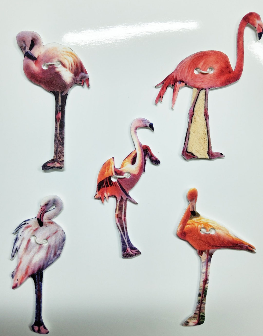Flamingo Buttons #2 Set of 5 - Etsy