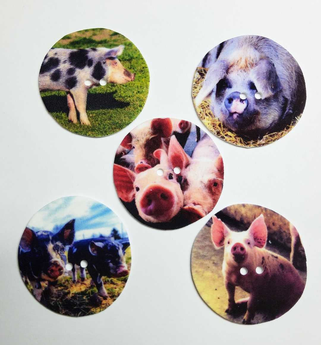 Pigs in the Yard Buttons 1.5" Set of 5 - Etsy