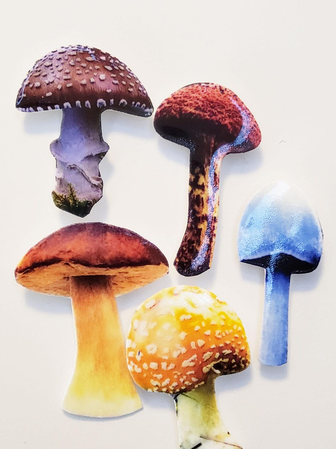Mushroom Magnets # 101 - Set of Five - Etsy