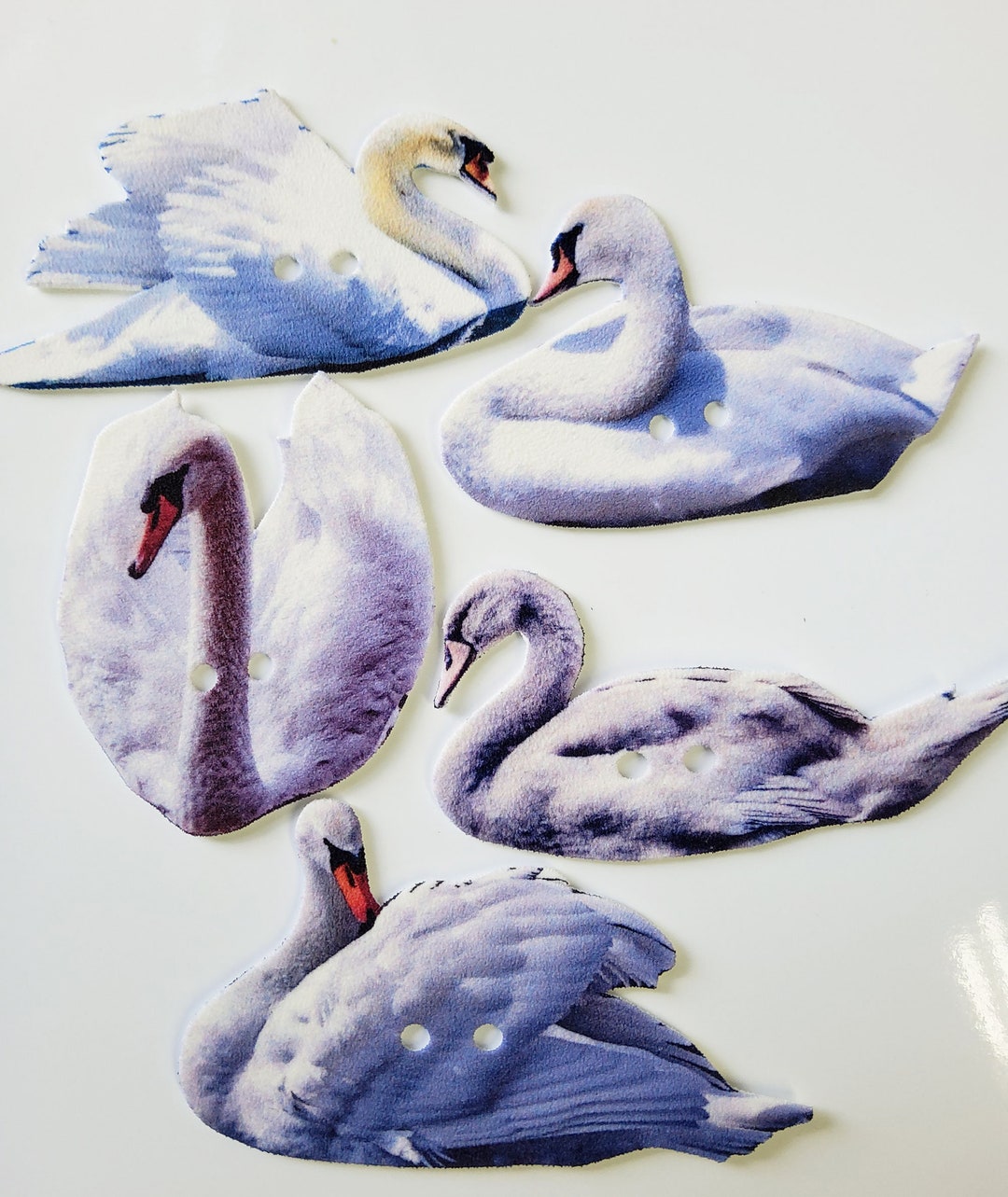 Swan #1 Buttons - Set of 5 - Etsy
