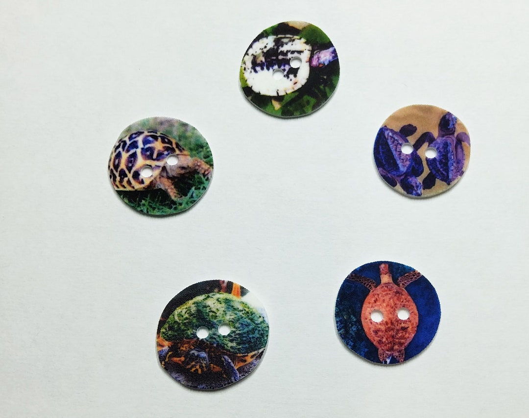 Turtle Buttons #3 -set of 5 - 3/4" Size - Etsy